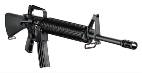 Looking into getting a DPMS Panther Lite 20. I have questions ...